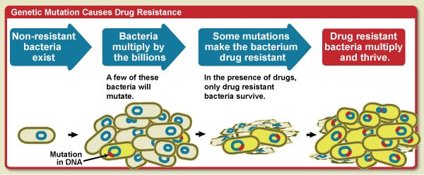Causes Of Antimicrobial Drug Resistance Niaid National Institute